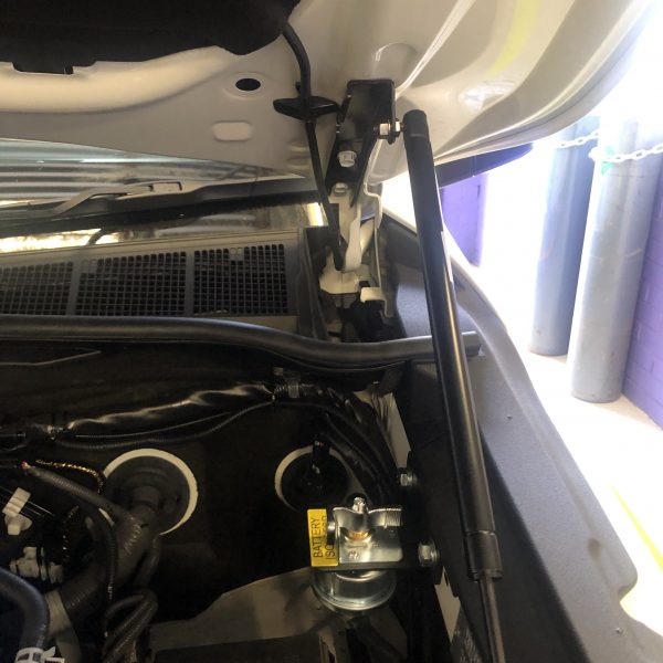 Buy Bonnet Gas Struts Online | StrutsWest